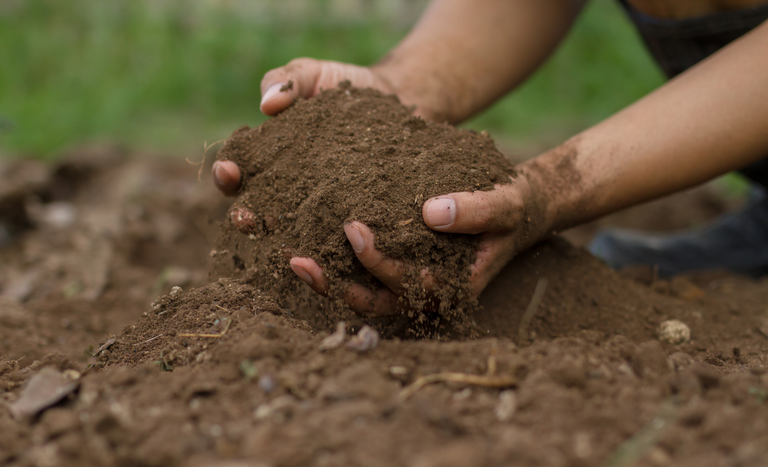 Ministry of Agriculture and Livestock offers course on soil health and ...