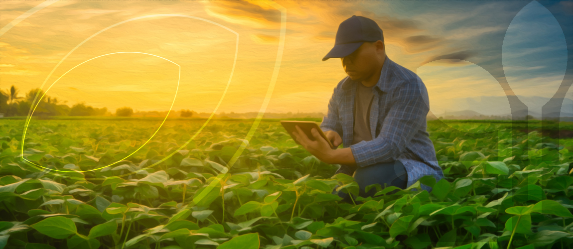 AgroHub Brasil — Ministério da Agricultura e Pecuária