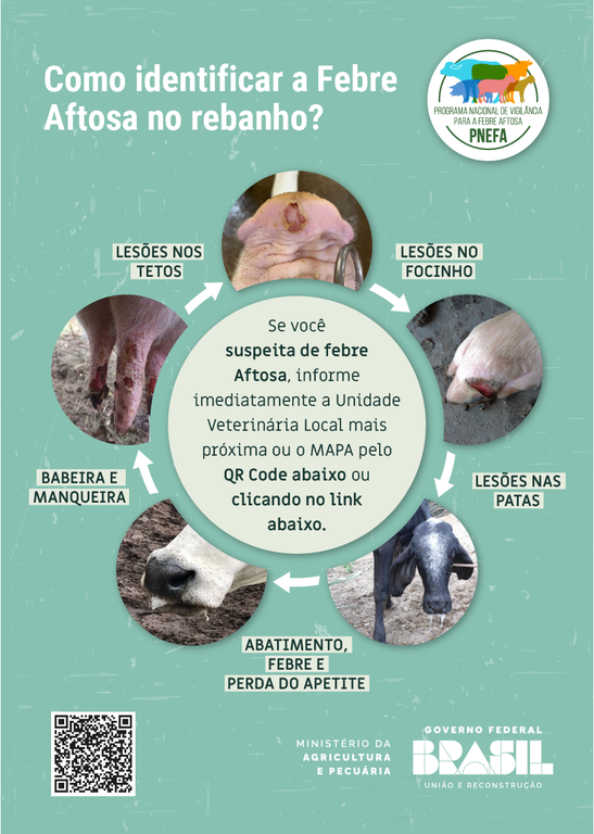 2- Como identificar sinais de febre aftosa no seu rebanho — Ministério ...