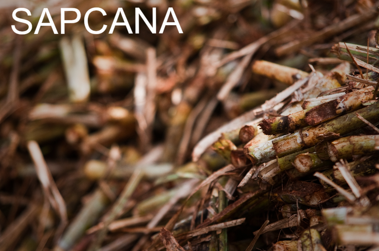 Sapcana — Ministério da Agricultura e Pecuária