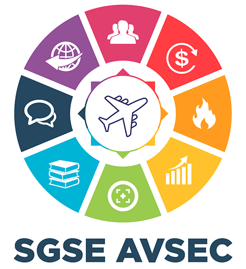 Manual SGSE — Agência Nacional de Aviação Civil (Anac)