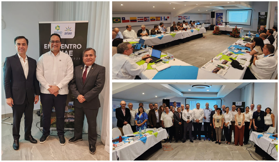 ANEEL assumirá presidência da ARIAE em 2026 — Agência Nacional de ...