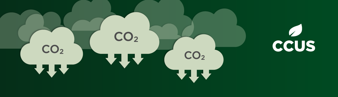 CCUS — Agência Nacional do Petróleo, Gás Natural e Biocombustíveis