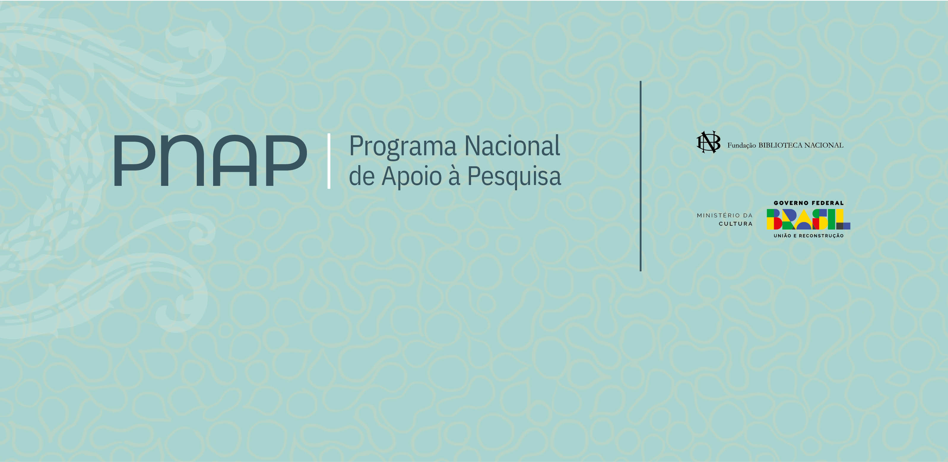 Lançado o edital do Programa Nacional de Apoio à Pesquisa (PNAP) 2023 ...