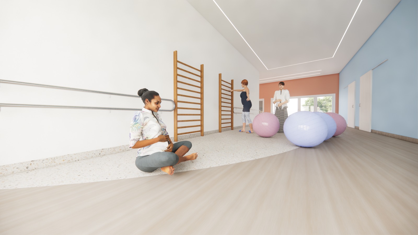 Centros de Parto Normal — Casa Civil