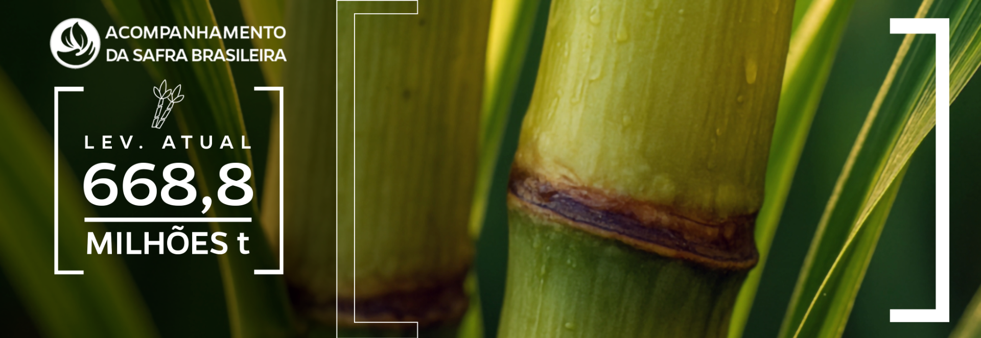 Home — Companhia Nacional de Abastecimento