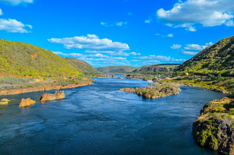 Brazil is planting 100 million trees to restore rivers
