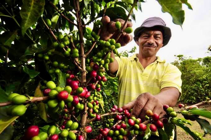 The Gross Value of Agricultural Production in Brazil could reach BRL 1. ...