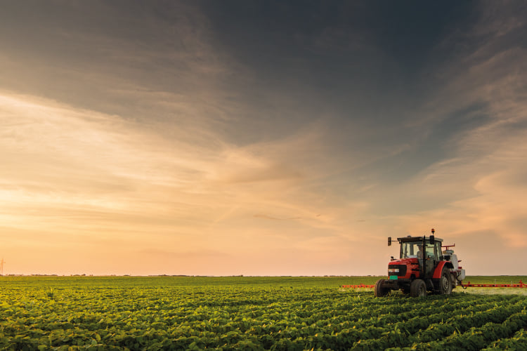 The Solos Vivos Brasil Program