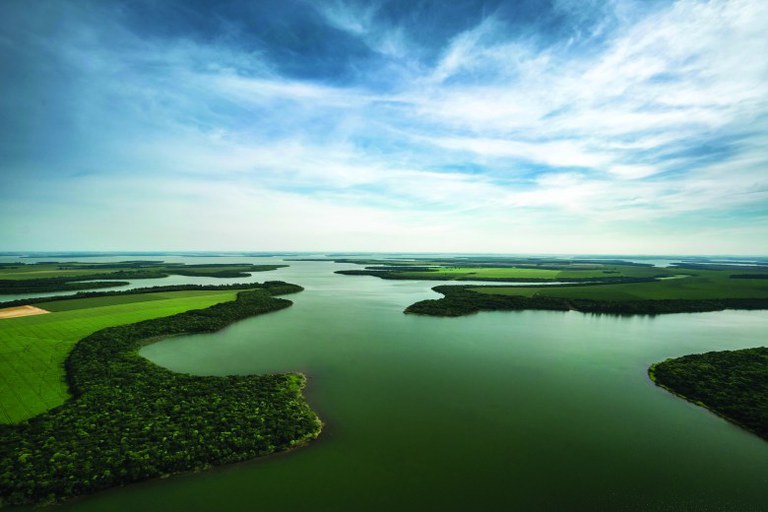 Brazil's initiative on planting trees as part of the National Green ...