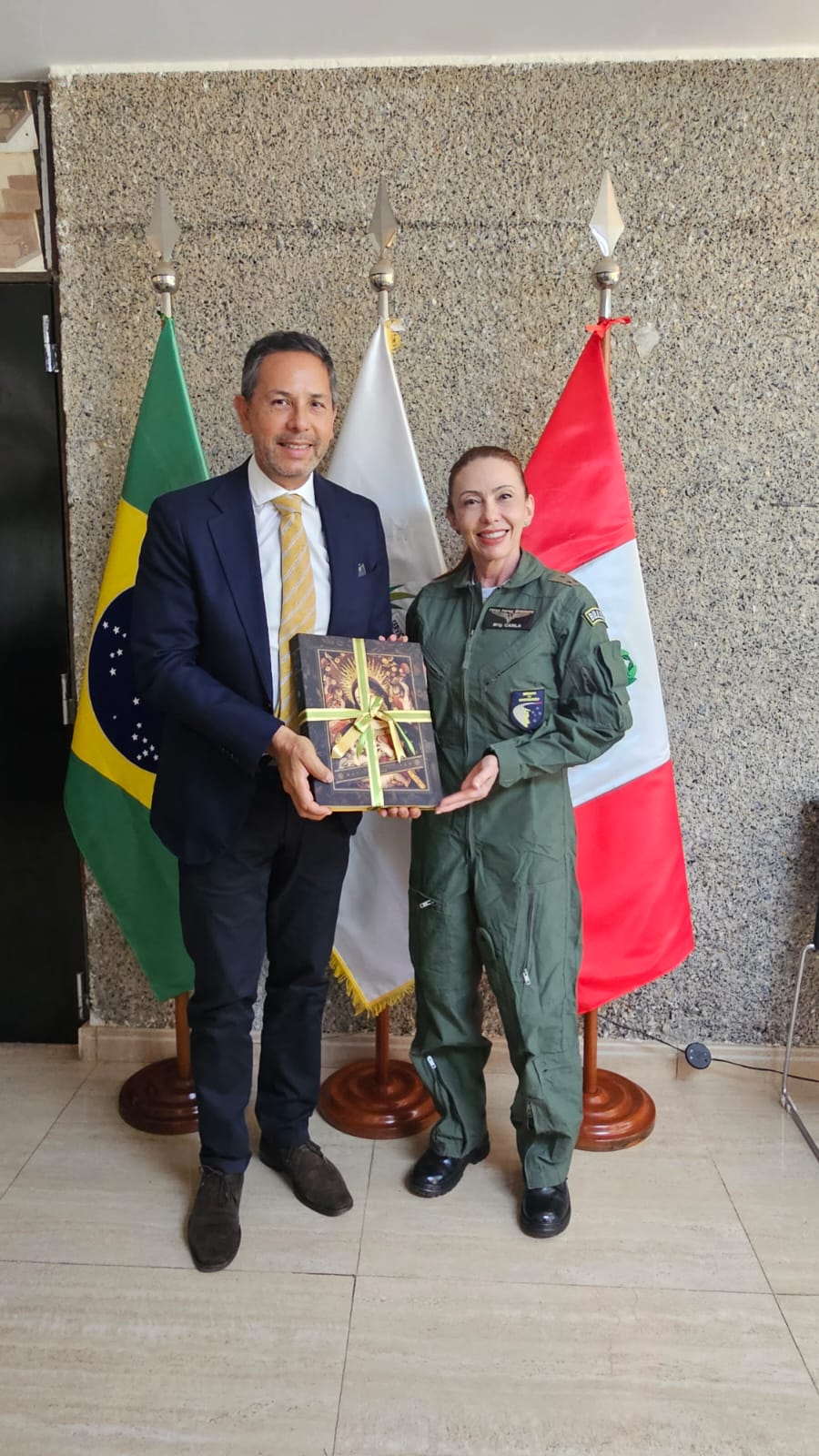 Comandante da ESD realiza visita institucional à Embaixada do Peru — Escola Superior de Defesa - ESD