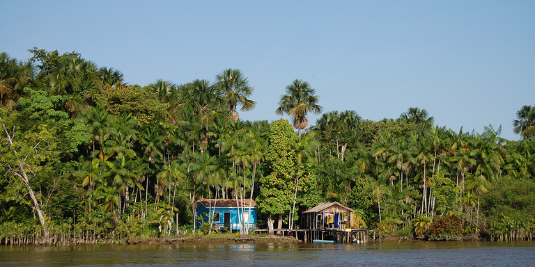 Monitoramento e conservação na Amazônia são temas de debate em encontro ...