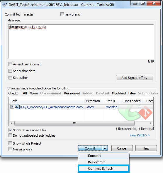 4.6. Atualizar um documento (funções “Commit”, “Commit & Push” e “Push ...