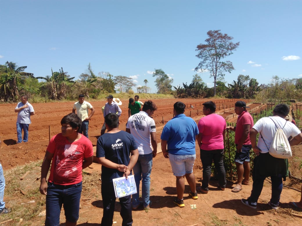 Parceria entre Funai e Instituto Federal incentiva capacitação de ...