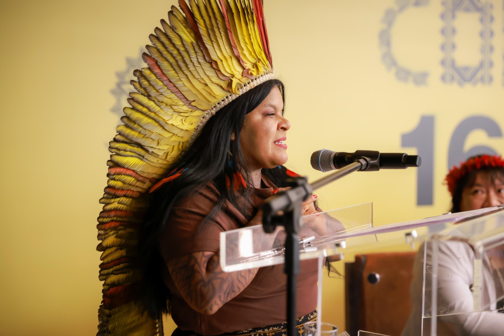 STF lança versão da Convenção 169 da OIT na língua Kayapó (Mebêngôkre ...