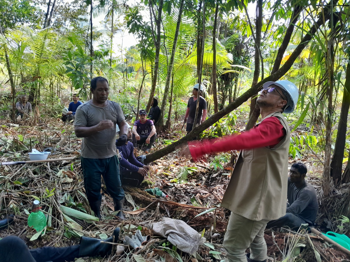 Projeto desenvolvido pela Funai prevê aumento de 300% na produção de ...