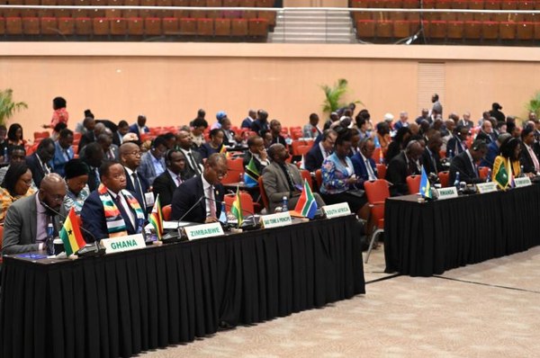 African Union in the G20: a geopolitical and economic leap for the ...