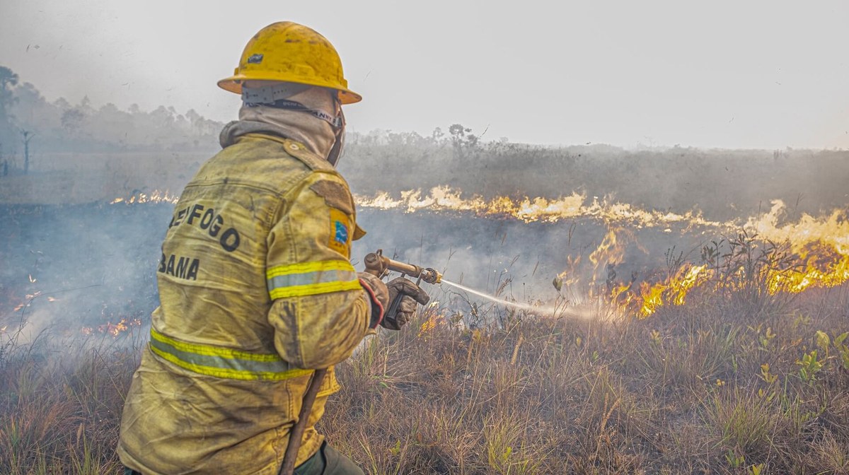 Wildfires and climate crisis: The 2023/2024 drought is the most severe ...