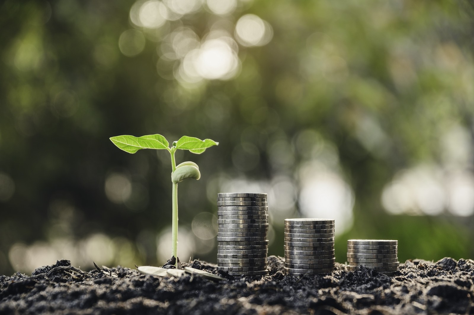 Sustainable Finance (SFWG)