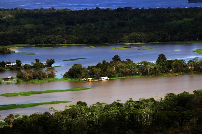 Manaus - AM