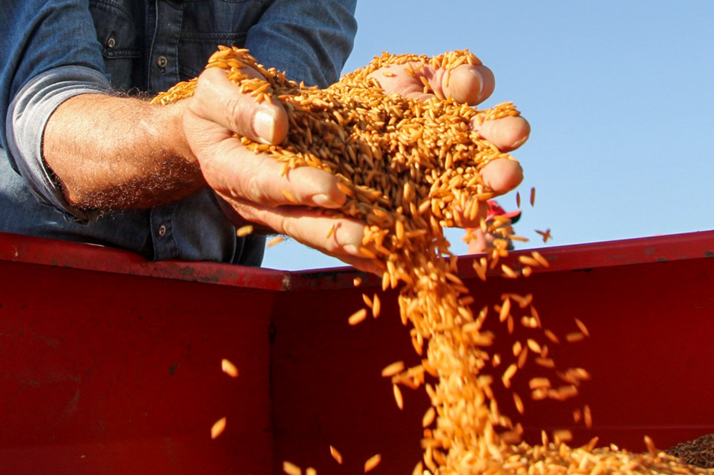 GT de Agricultura: prácticas sostenibles en primera plana