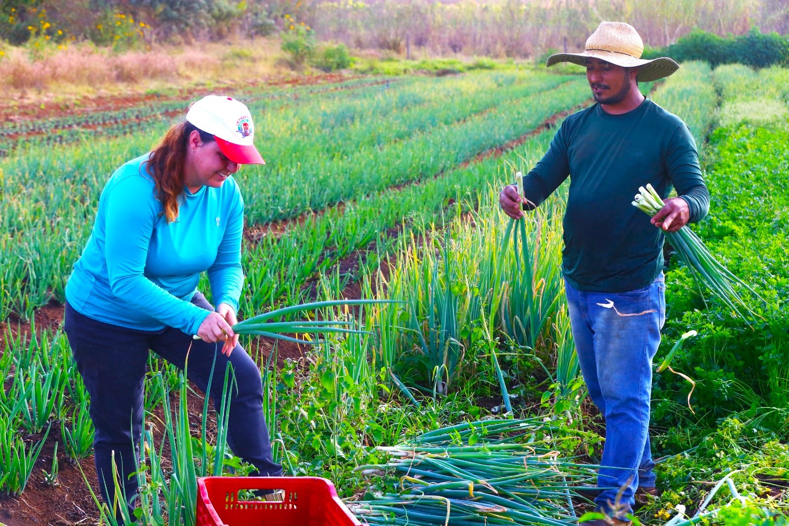 Se crea la Alianza Global contra el Hambre y la Pobreza con el apoyo de líderes mundiales y ...