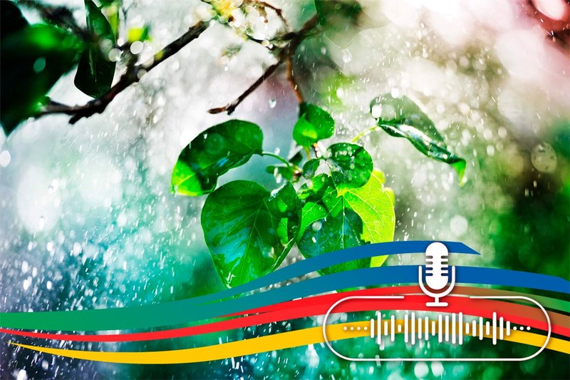 Marandu'i G20 pegua 11 - Mba’erepa jahechakuaa va’erã y ciclo natural ...