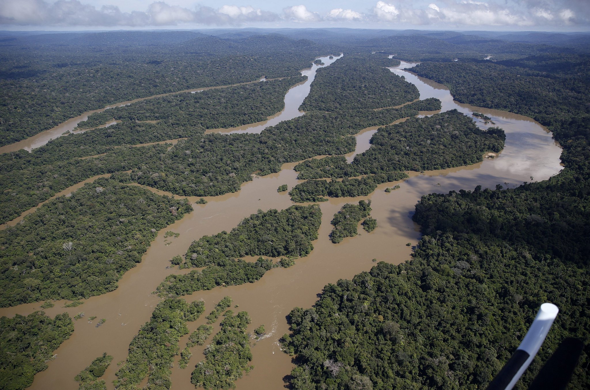 Fundos verdes: conheça o exemplo do Fundo Amazônia