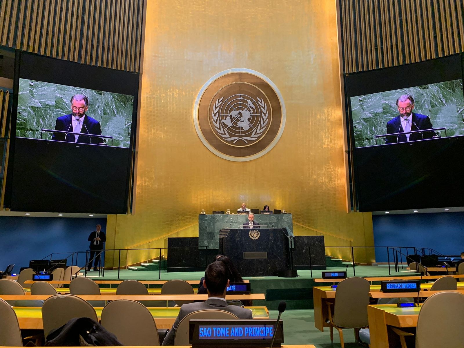 Na ONU, Mauricio Lyrio defende a cooperação internacional para ...