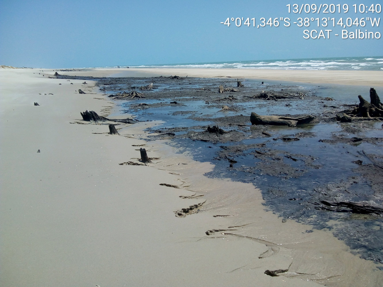 TimePhoto_20190913_104056.png — Ibama