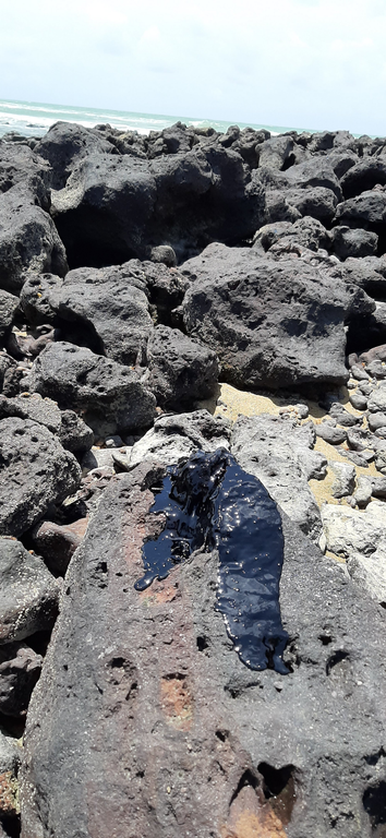 20190911_111216.png — Ibama