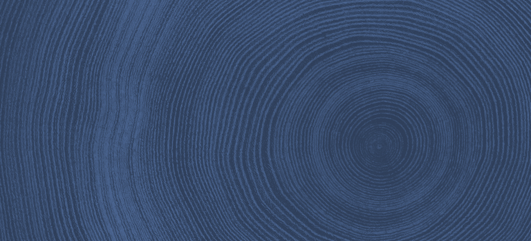 Cursos de Educação Ambiental criados por Ibama e MMA são ...