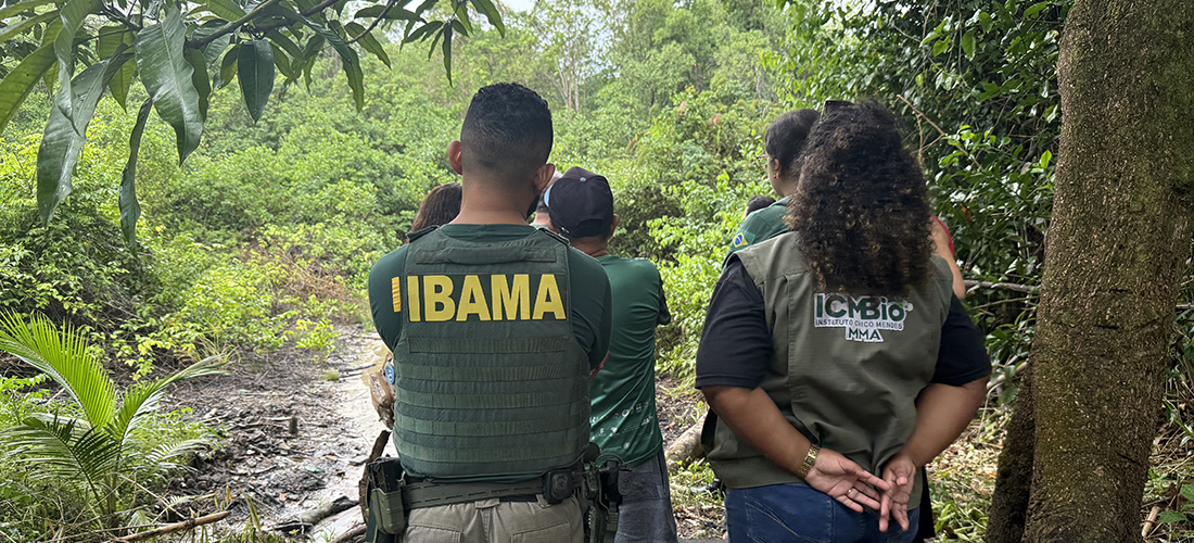 2025-06-27_Identificacao_especies_2_Ibama.jpg — Ibama