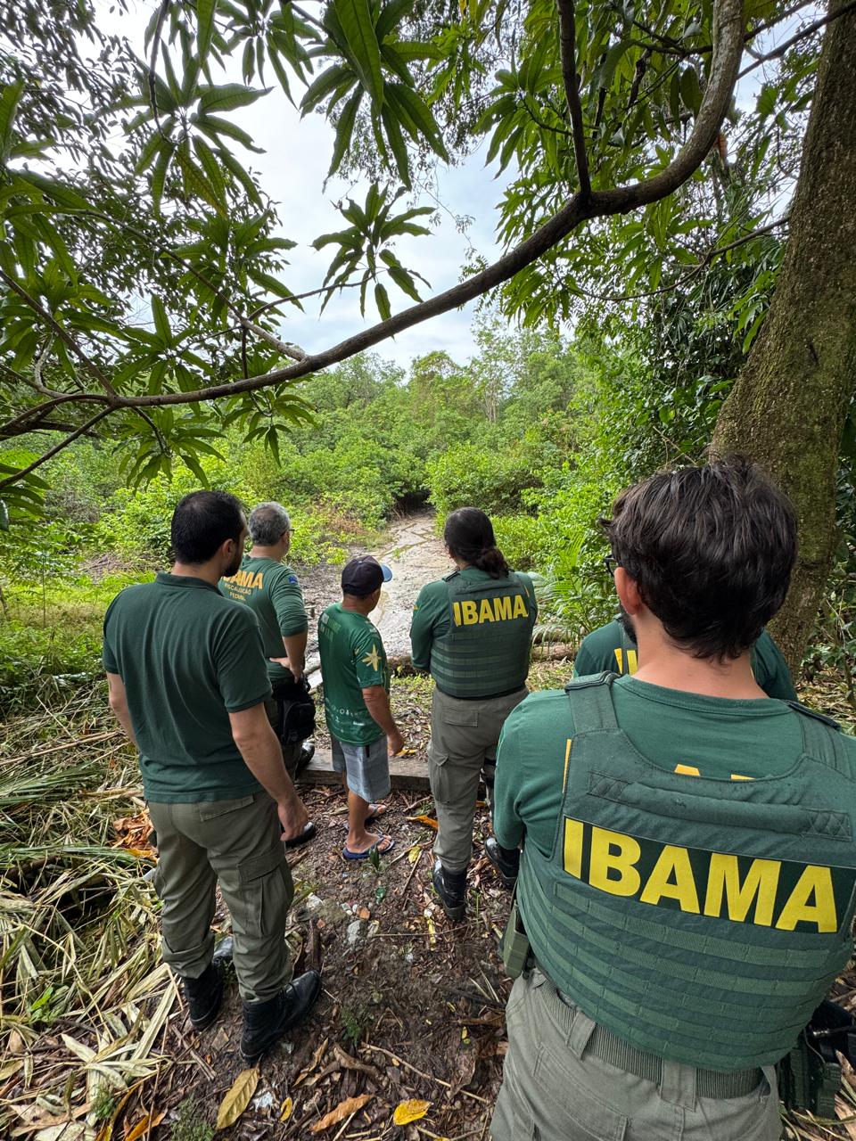 2025-06-27_Identificacao_especies_3_Ibama.jpeg — Ibama