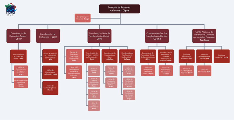 2023-03-11_organograma_Dipro_Ibama.png — Ibama