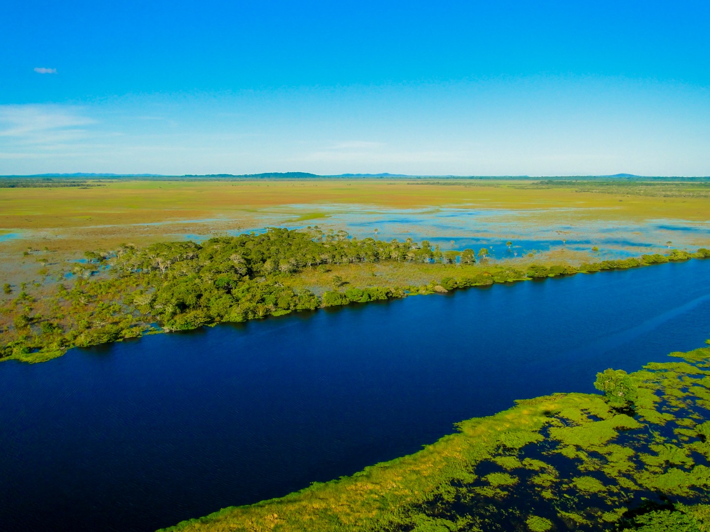 Rebio do Guaporé — Instituto Chico Mendes de Conservação da Biodiversidade