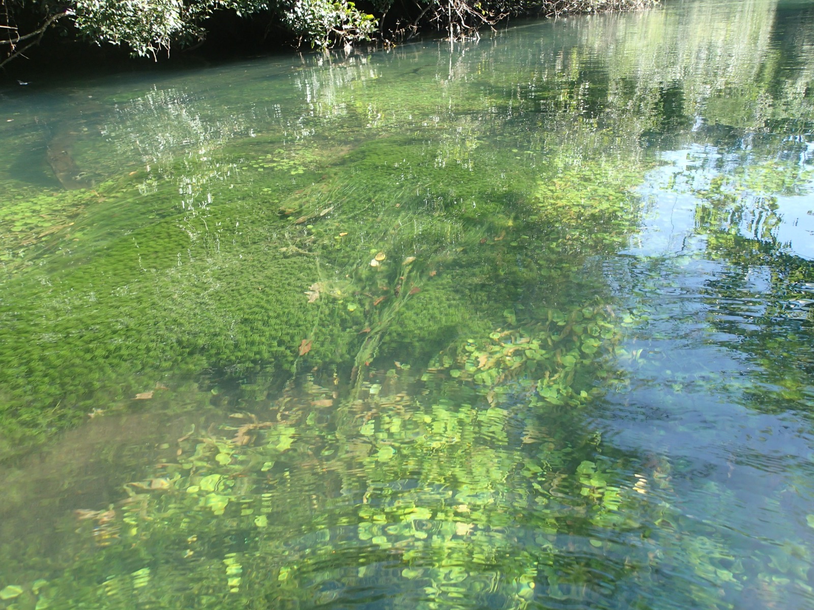 Trilha Sumidouro-Ressurgência do rio Perdido - capa — Instituto Chico ...