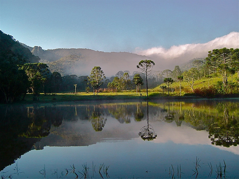 RPPN Curucaca I — Instituto Chico Mendes de Conservação da Biodiversidade