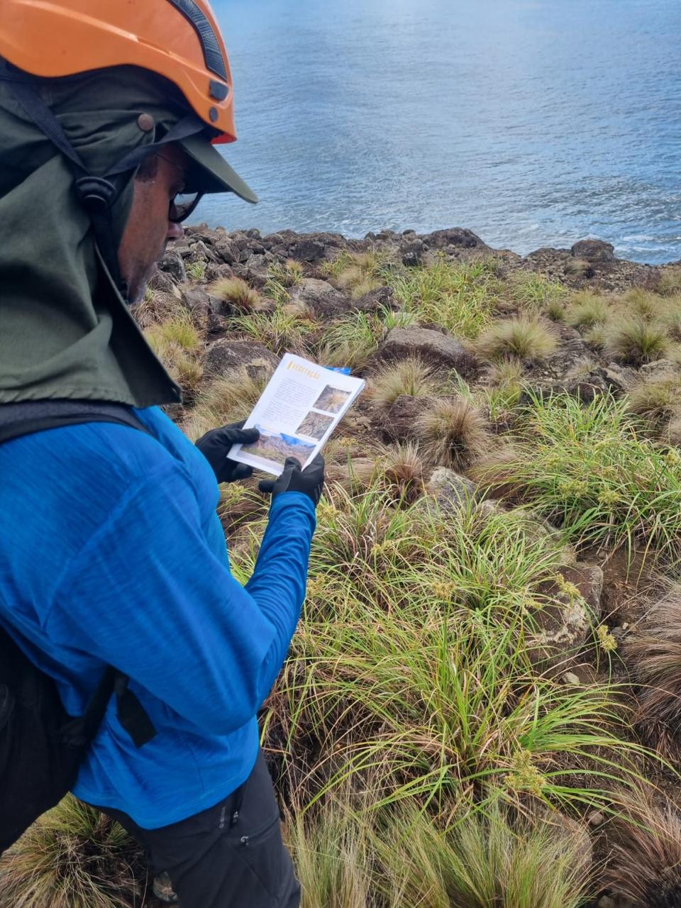 Trilha — Instituto Chico Mendes de Conservação da Biodiversidade