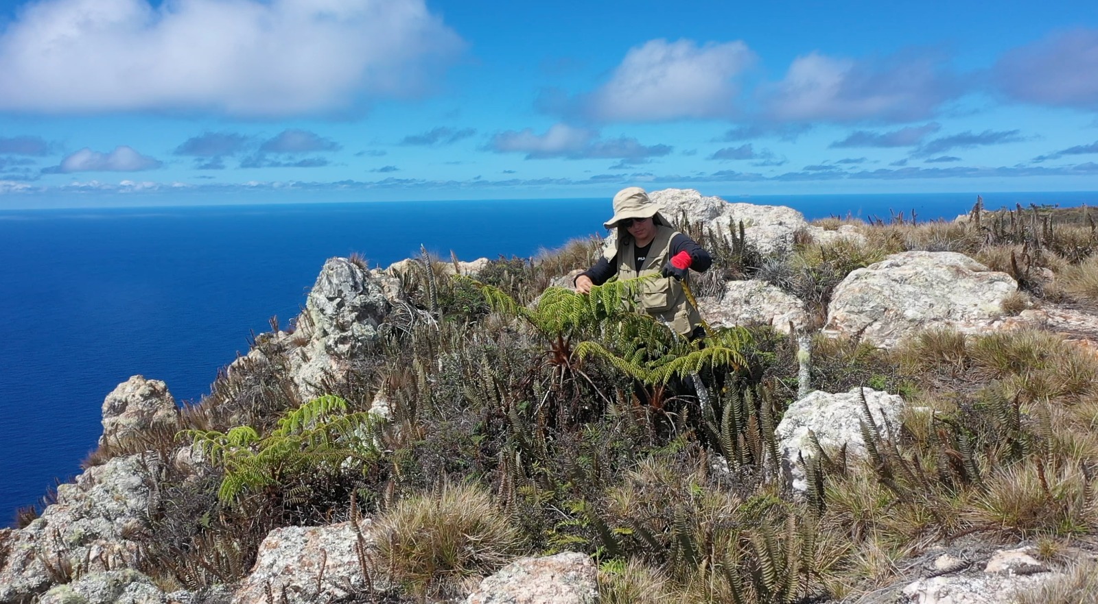 Projetos de pesquisa nas Grandes Unidades Oceânicas — Instituto Chico ...