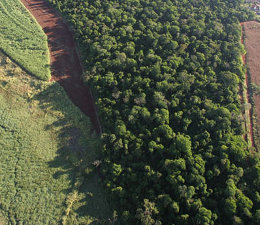 Arquivos — Instituto Chico Mendes de Conservação da Biodiversidade