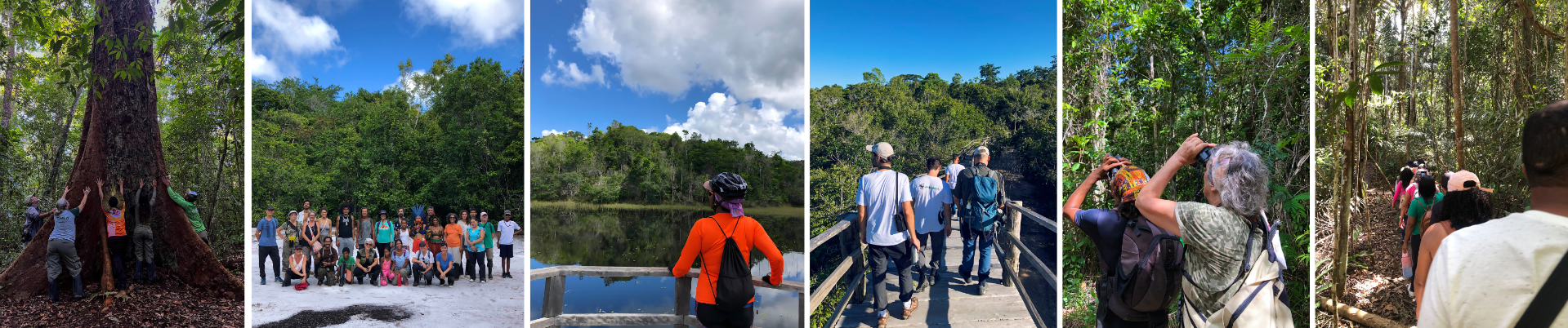 Imagens — Instituto Chico Mendes de Conservação da Biodiversidade