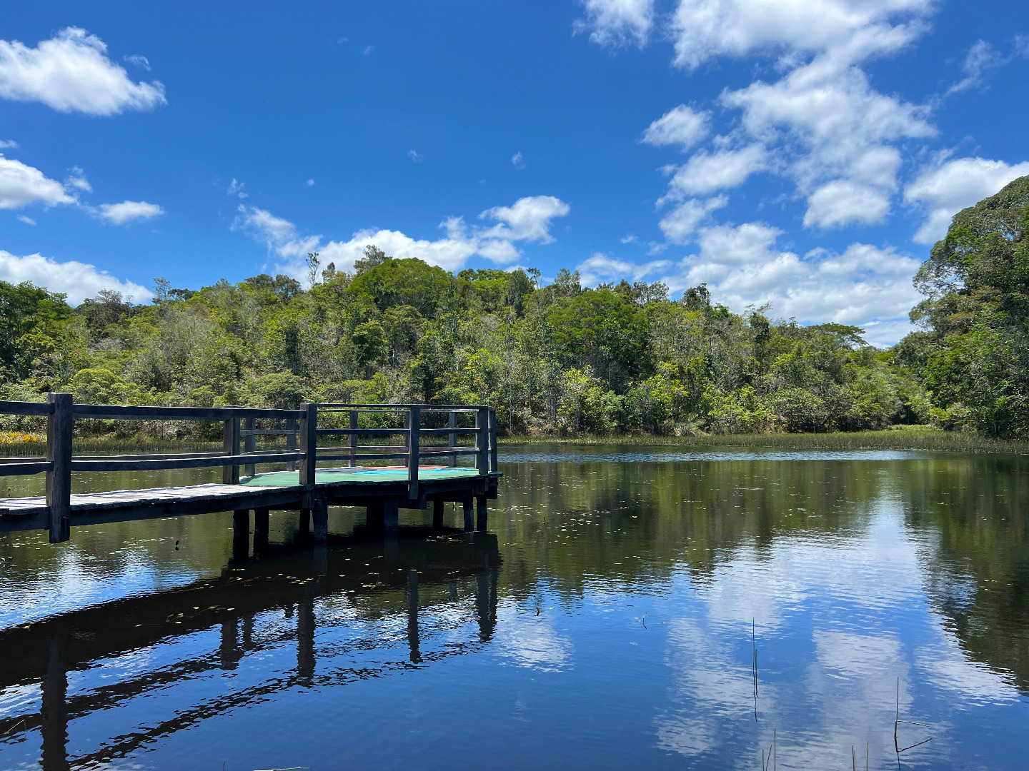 Imagens — Instituto Chico Mendes de Conservação da Biodiversidade