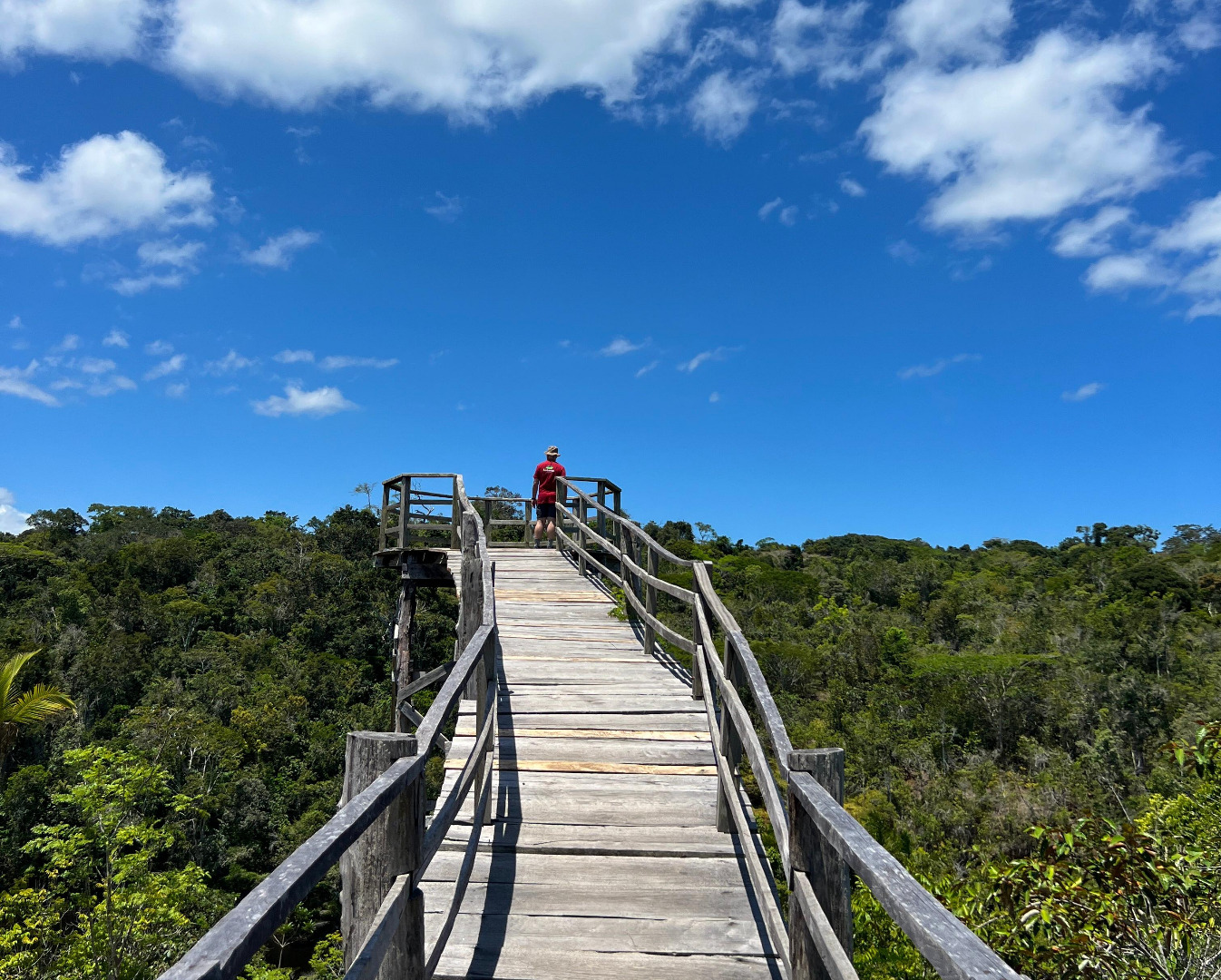 Imagens — Instituto Chico Mendes de Conservação da Biodiversidade