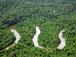 Biodiversidade Amazônica — Instituto Chico Mendes de Conservação da ...