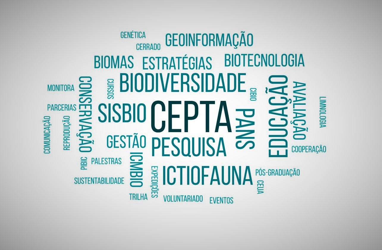 Equipe — Instituto Chico Mendes de Conservação da Biodiversidade