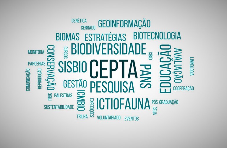 Equipe — Instituto Chico Mendes de Conservação da Biodiversidade