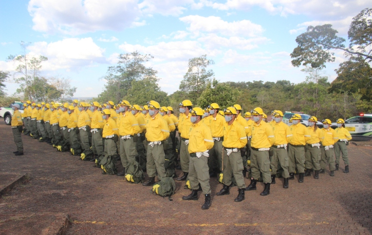 Brigada de pronto emprego se apresenta em Brasília — Instituto Chico ...