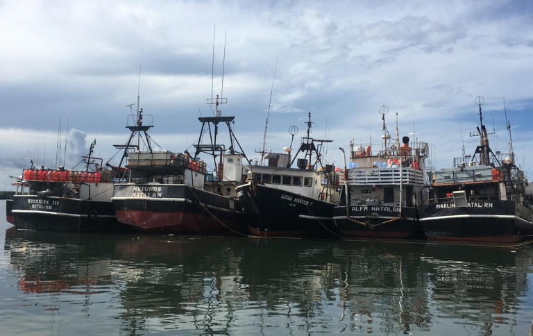 Grandes Unidades Oceânicas lançam primeira Lista Positiva de ...