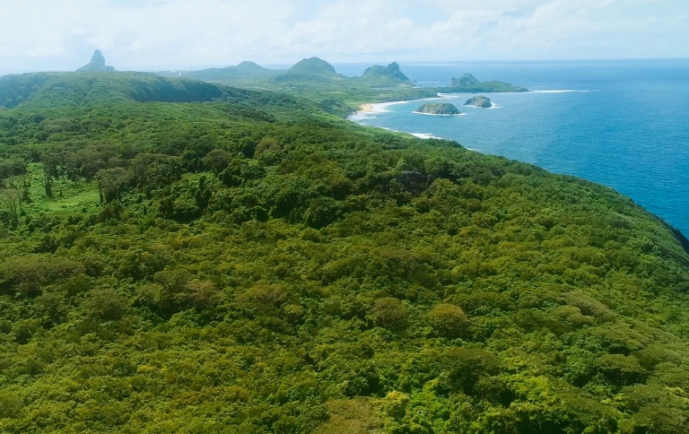 ICMBio — Instituto Chico Mendes de Conservação da Biodiversidade
